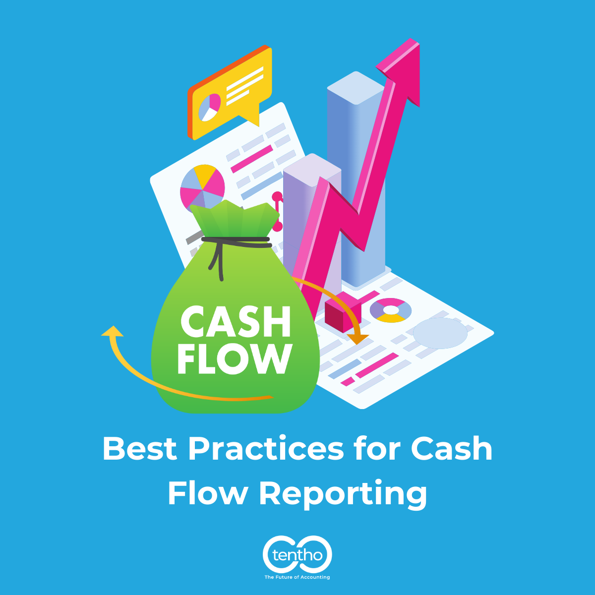 Best Practices for Cash Flow Reporting | Tentho