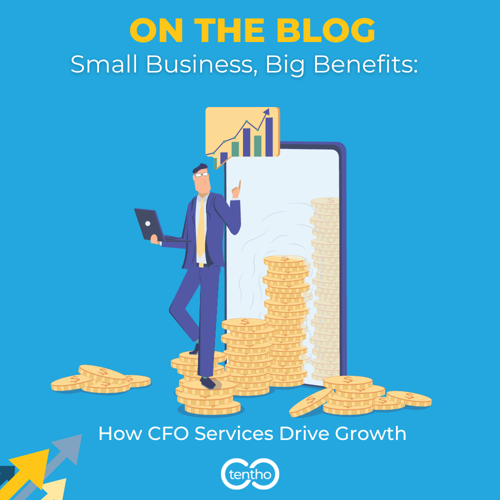 Maximize Profitability with CFO Services for Small Business | Tentho